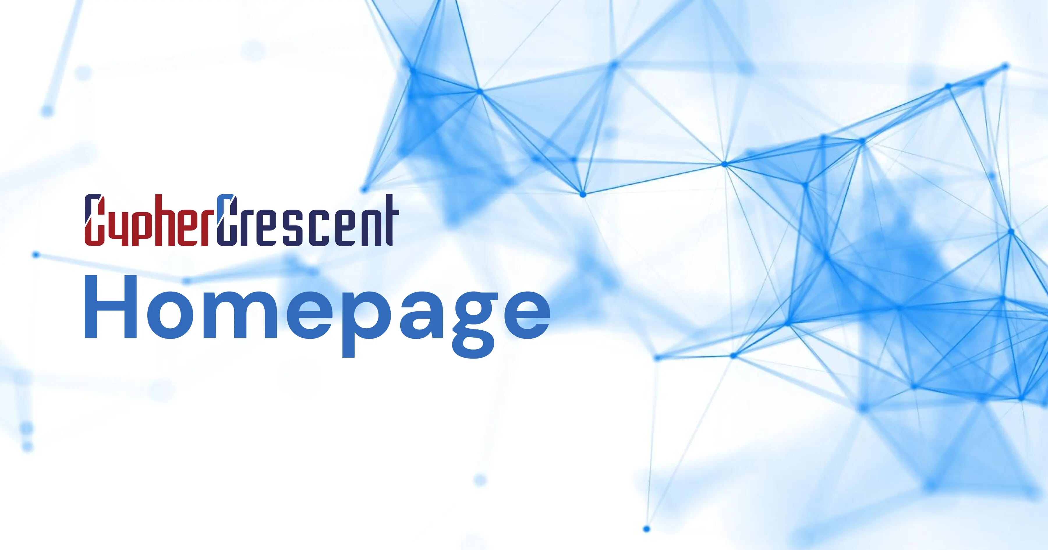 2025 NSE International Conference • CypherCrescent